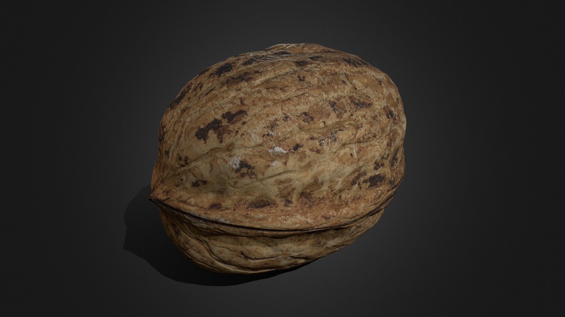 A simple Walnut - Download Free 3D model by Gewoelbe3DScan ...
