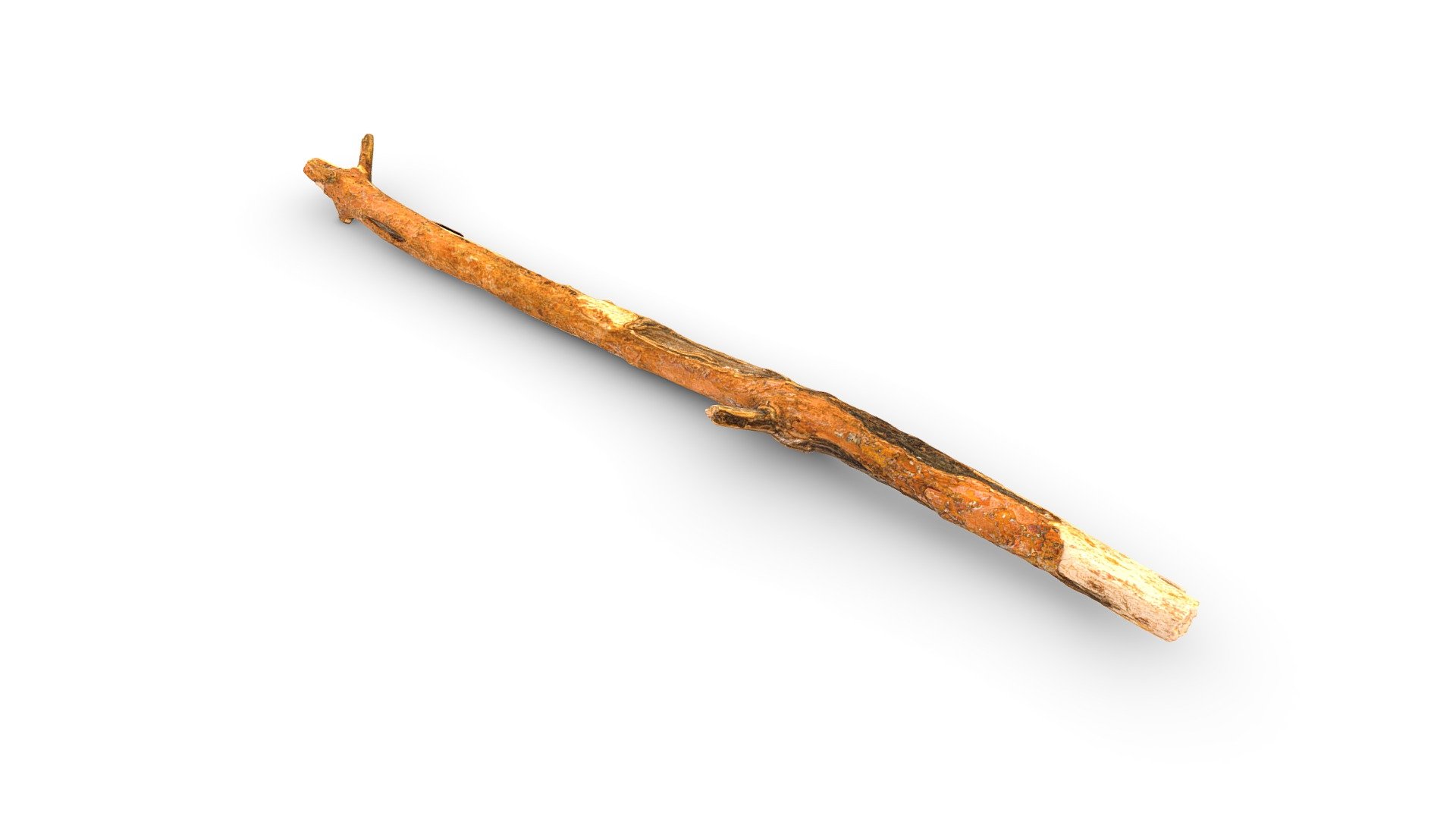 Forest Stick - 3D model by RawCatalog.com (@rawcatalog) [05891b4 ...