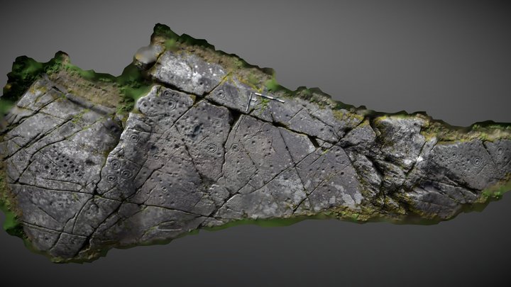 Cup-and-ring-marks 3D models - Sketchfab