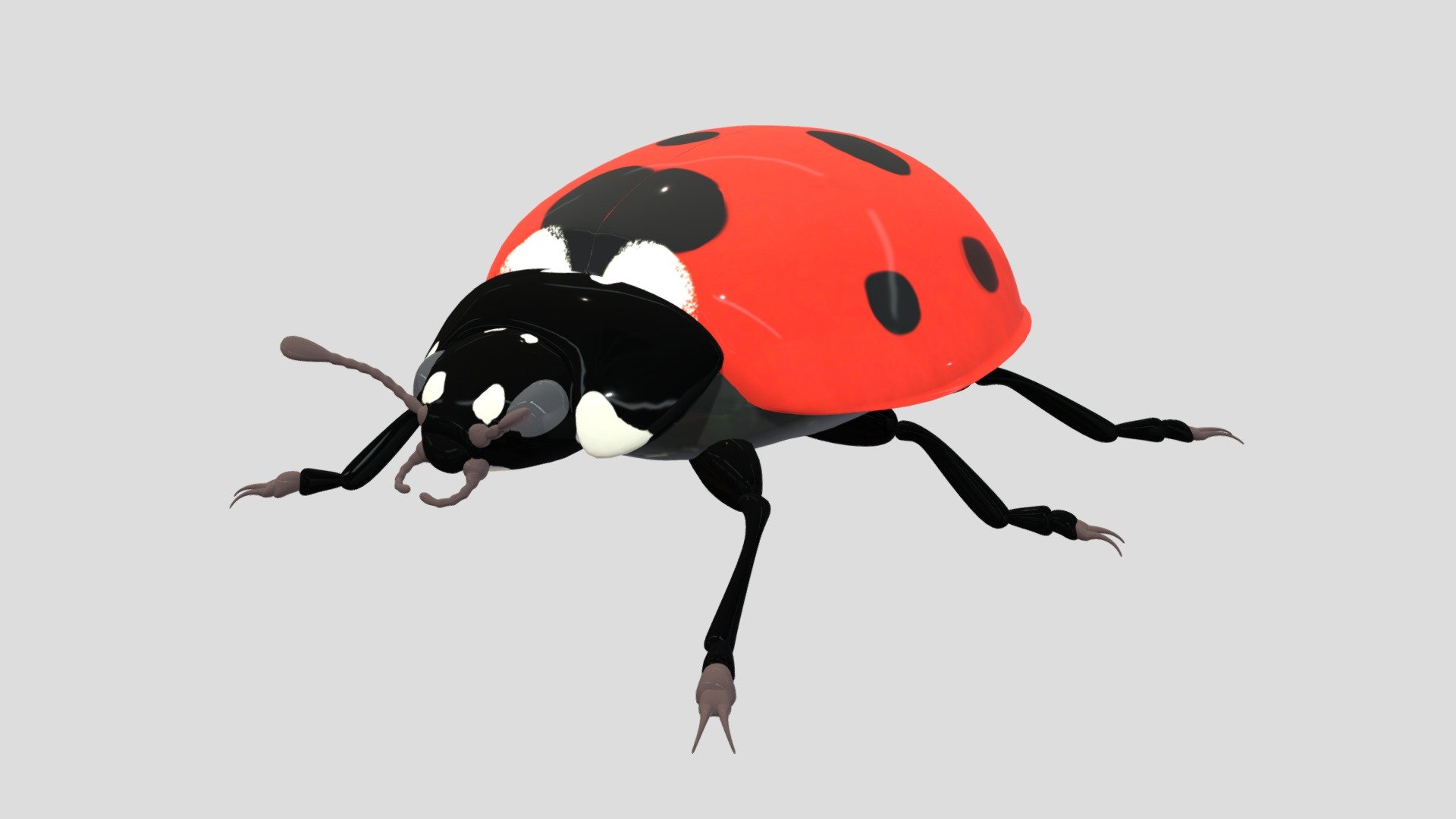 Ladybug - Buy Royalty Free 3D model by trish.j2109 [059bcc9 ...