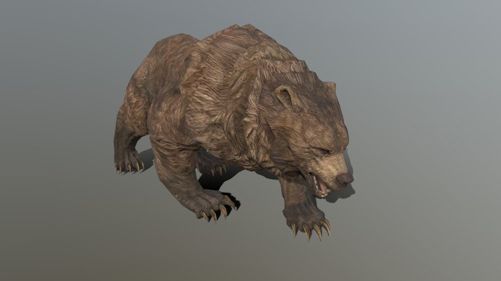 Bear 3D models - Sketchfab