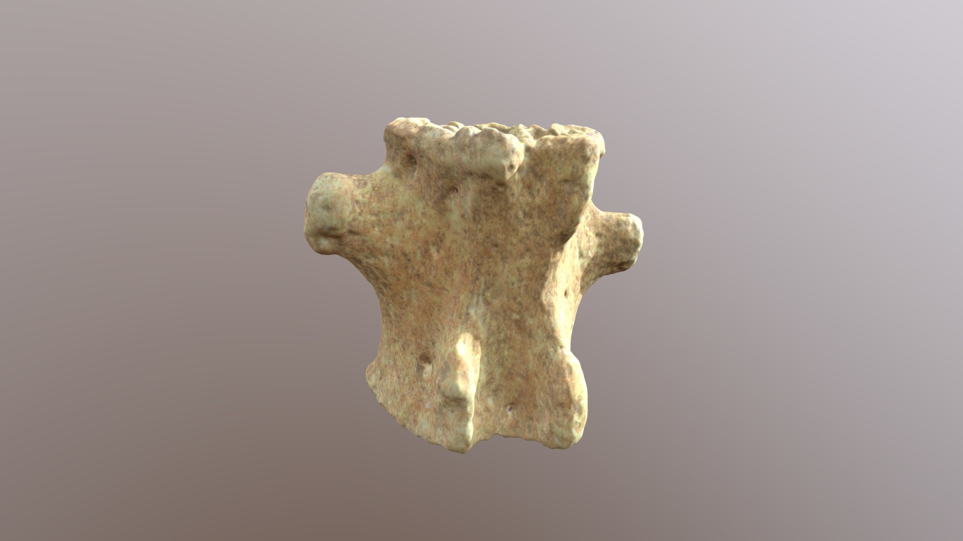 Mastodon Caudal Vertebra (VCU_3D_3913) - Download Free 3D model by ...