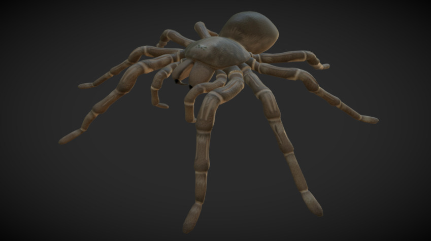 High-res Tarantula model. - 3D model by Nick Remie (@xiaphearix ...