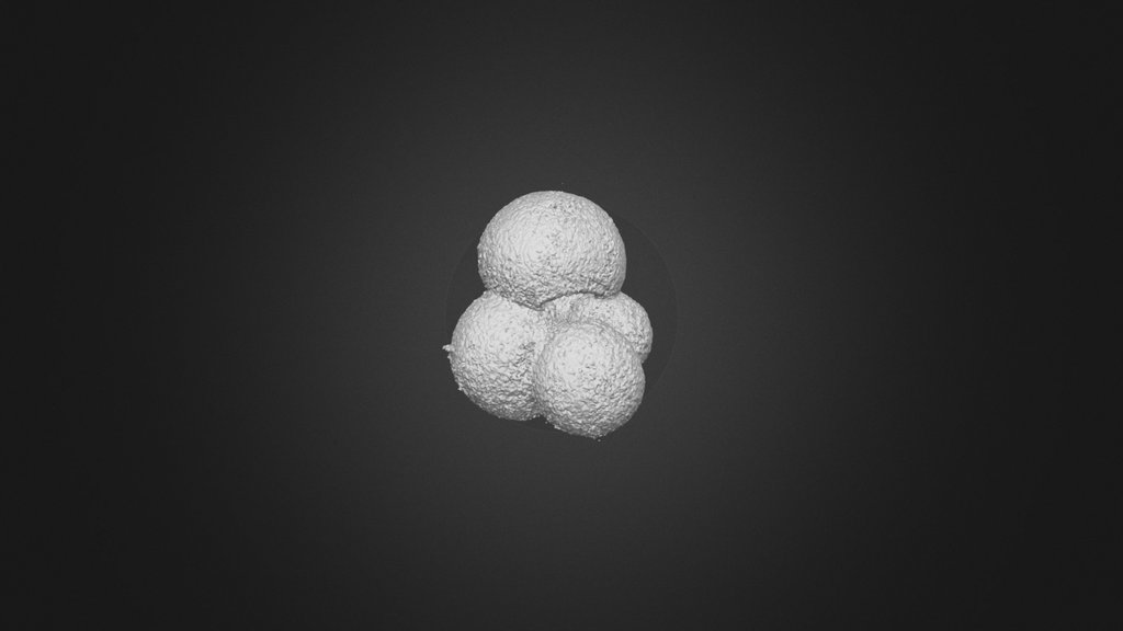 Objects - Organic - A 3D model collection by baxterbaxter - Sketchfab