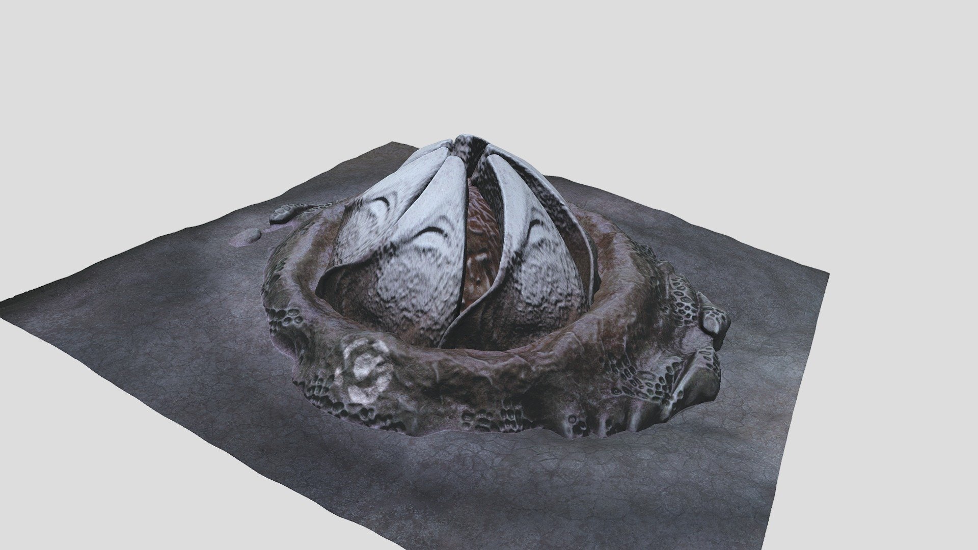 Thargoid Barnacle Matrix - Download Free 3D model by Ecthelion [05c2a6f ...