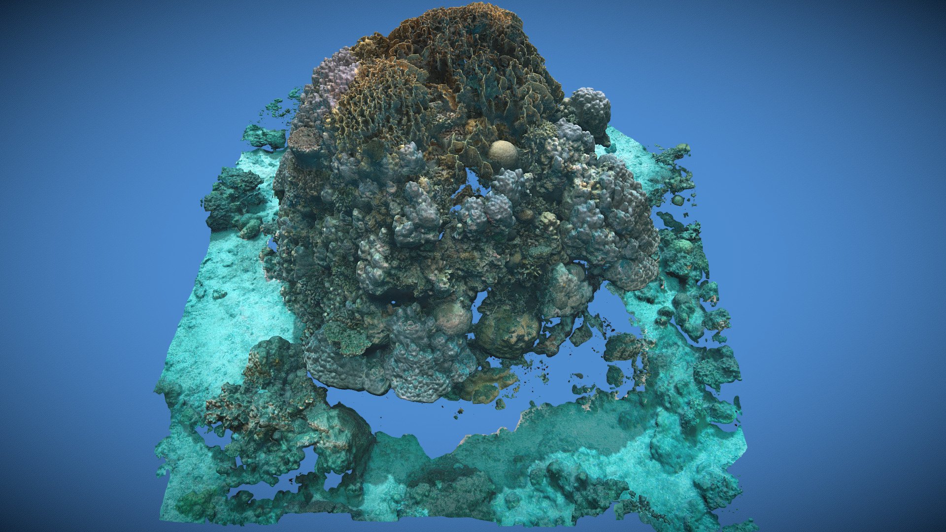MOA Coral Structure @ Pescador Islet - 3D model by BlueNomadsOrg ...