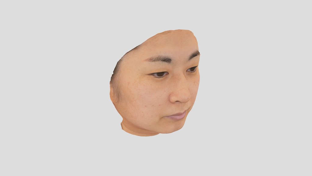 face scan to learn difference faces anatomy - A 3D model collection by ...