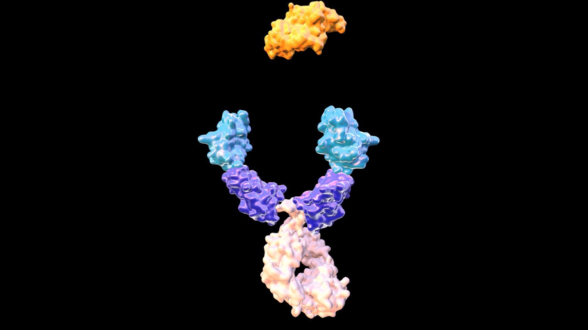 Aflibercept: A multi-targeted fusion protein - 3D model by Bayer ...
