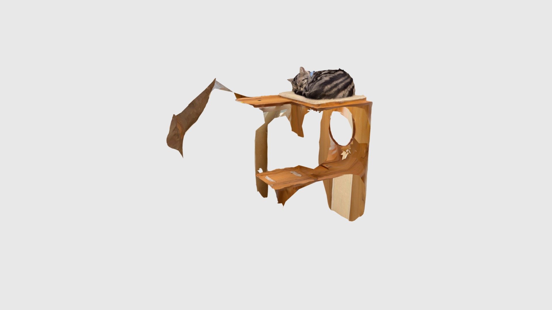 Cat2 - Download Free 3D model by Makaroni (@makaroni3010) [05da01e ...
