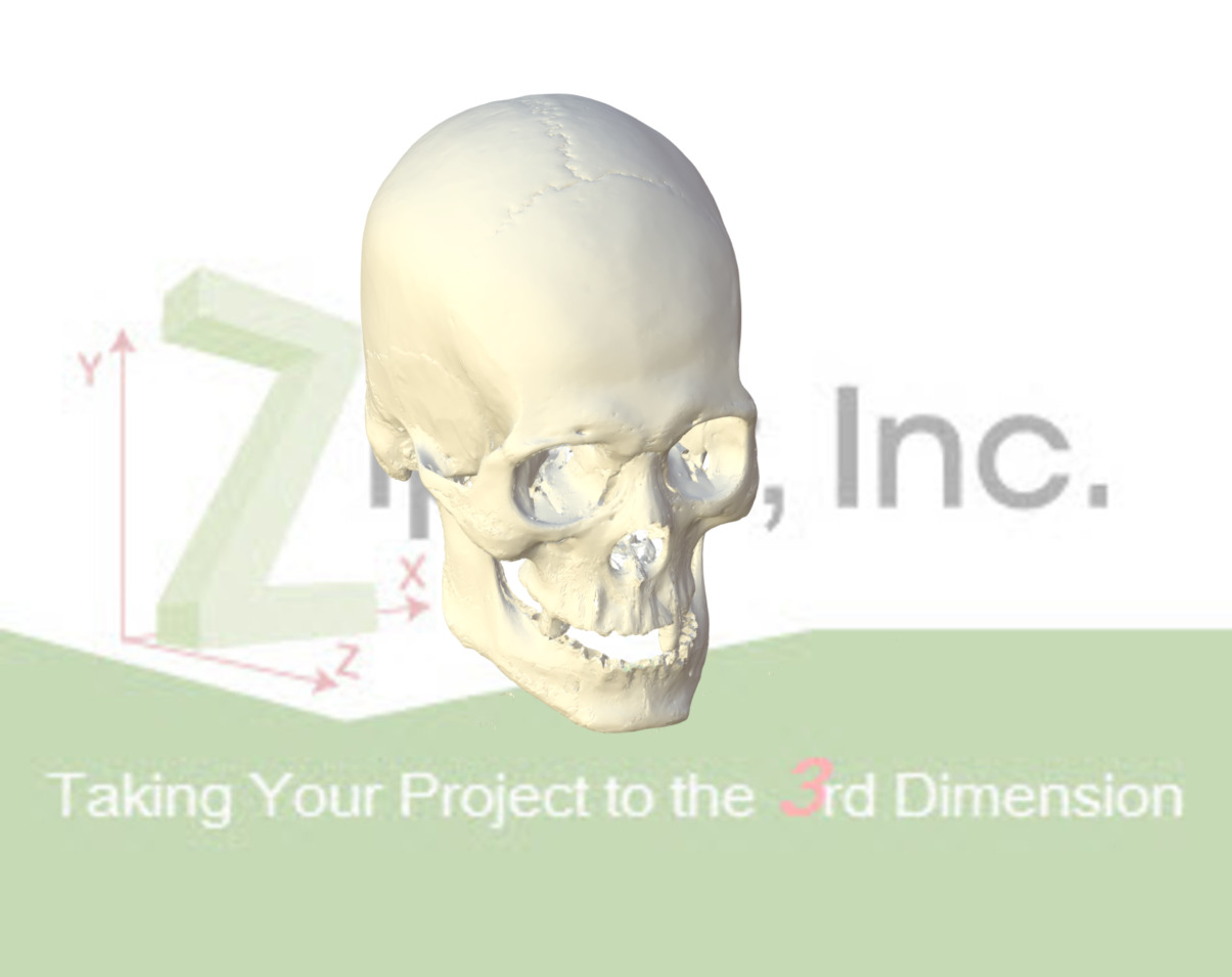 ZBI : 3D Scan (raw) : Skull (human) "Victor" - 3D model by zip-bit ...