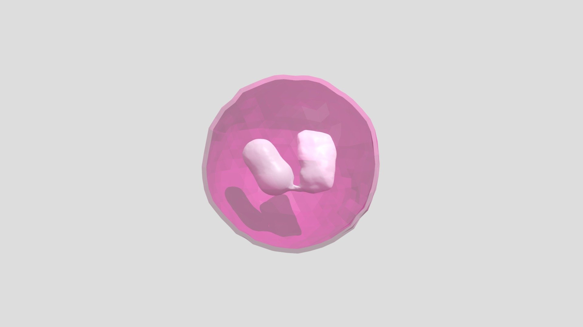 Eosinophil - Download Free 3D model by Vikrama Raghuraman (@vikrama1998 ...