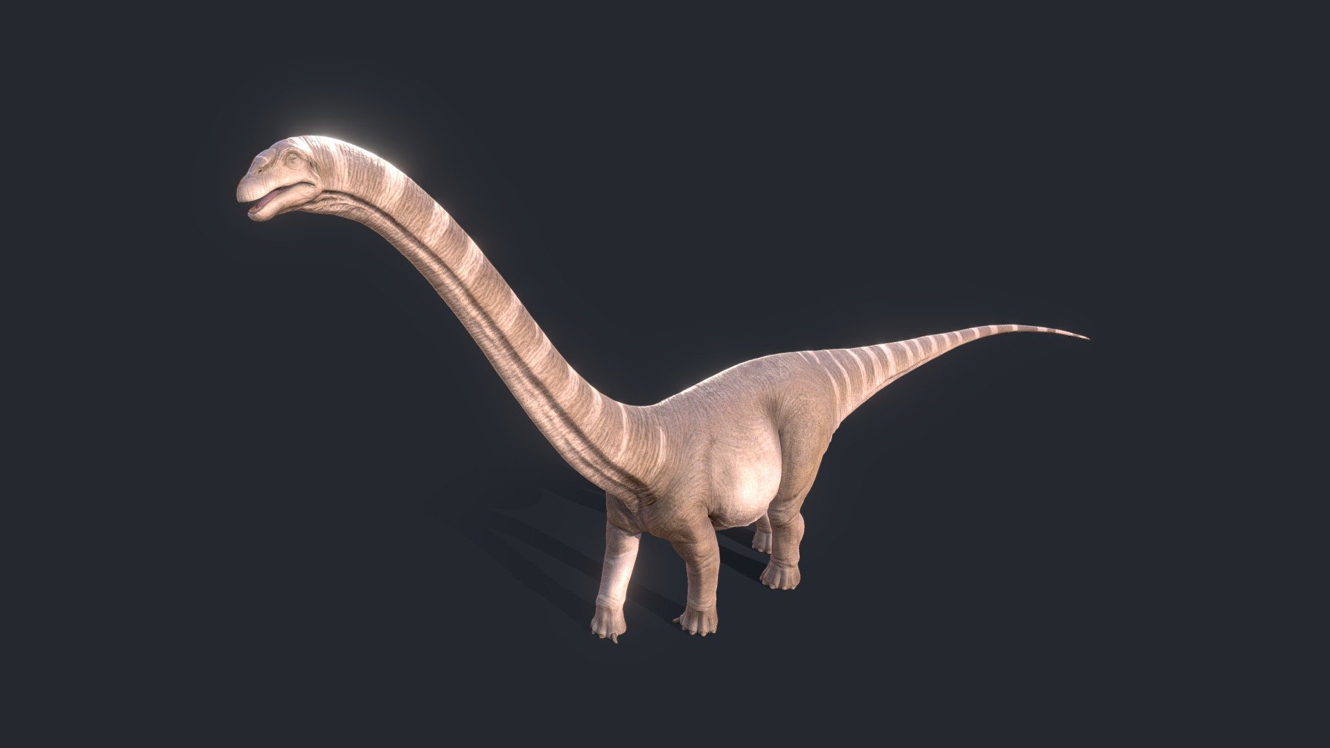 Diplodocus - 3D model by Bohuslav.Salo [05ec2dc] - Sketchfab