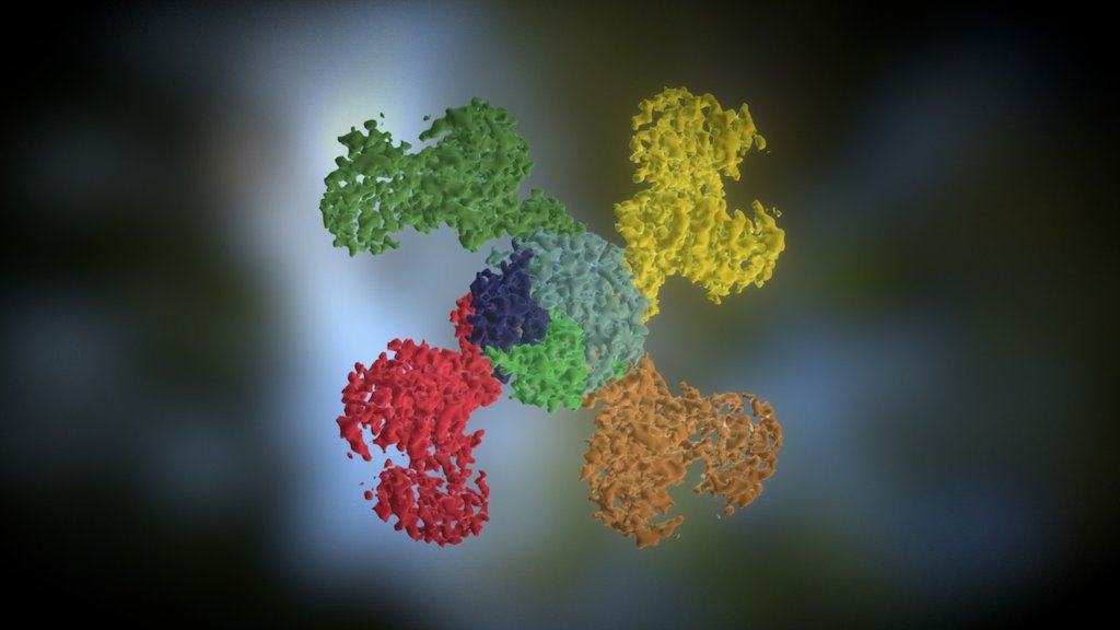 EMDB › EMD-6689 - 3D model by Interactive 3D Data (@proteinsimulation ...