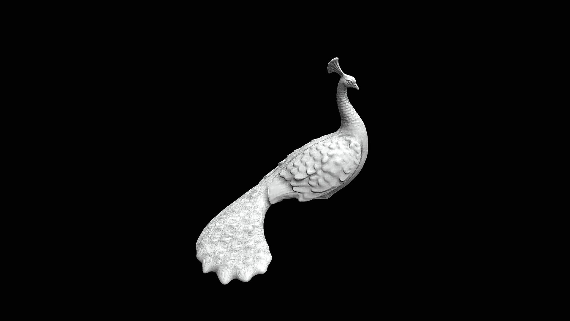 tavuskusu - 3D model by batuhangin [05f48fd] - Sketchfab