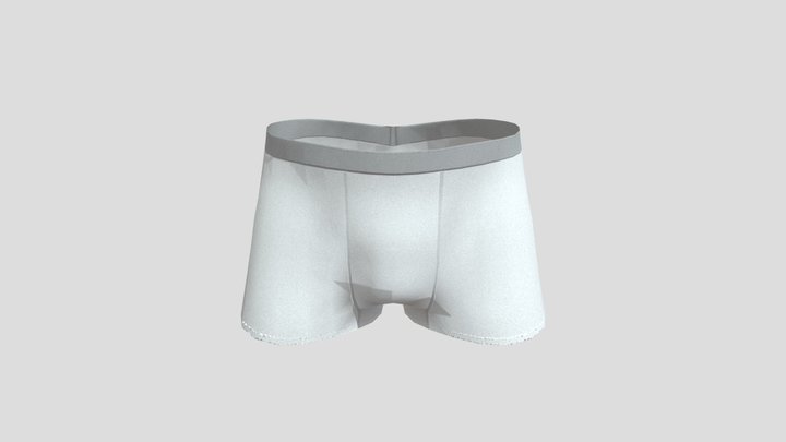Boxer 3D models - Sketchfab