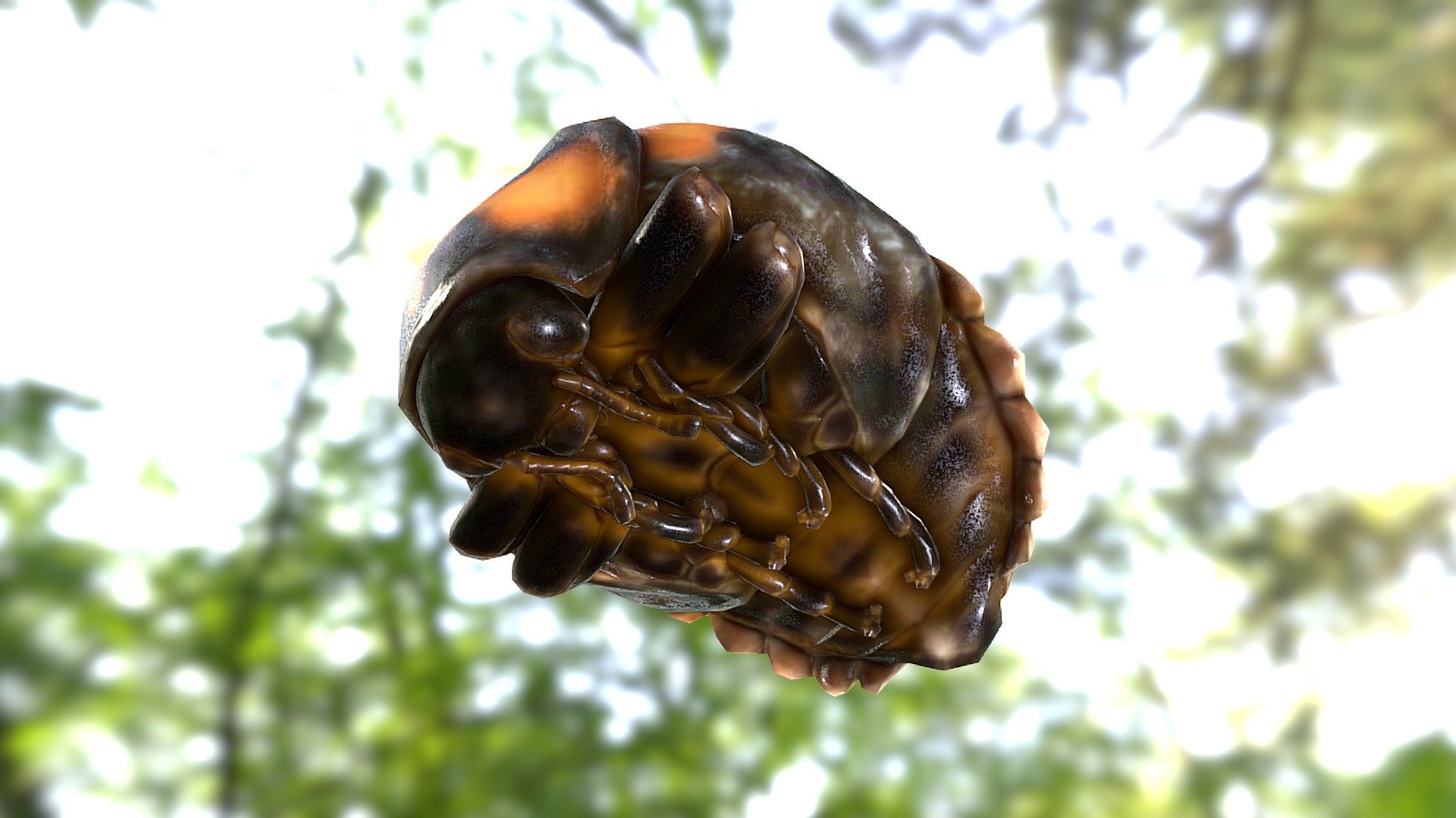 Ladybug_Pupa - Buy Royalty Free 3D model by Boycraft [060da35 ...