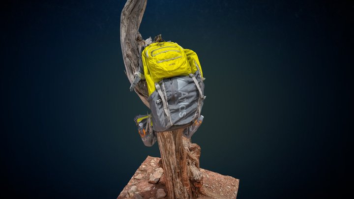 Hiker 3D models - Sketchfab