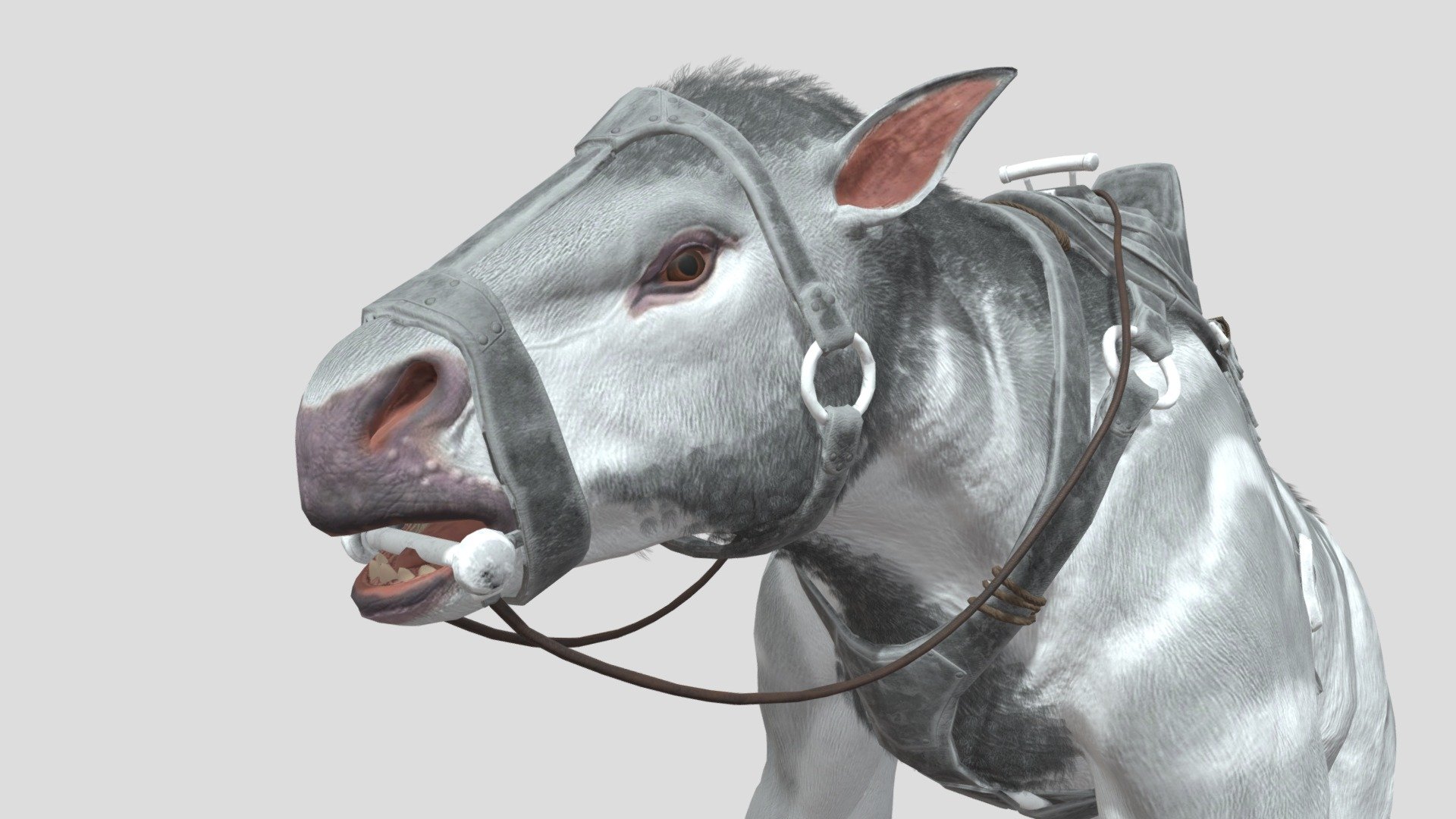Chalicotherium - Download Free 3D model by Tim (@TimFallas) [061134d ...