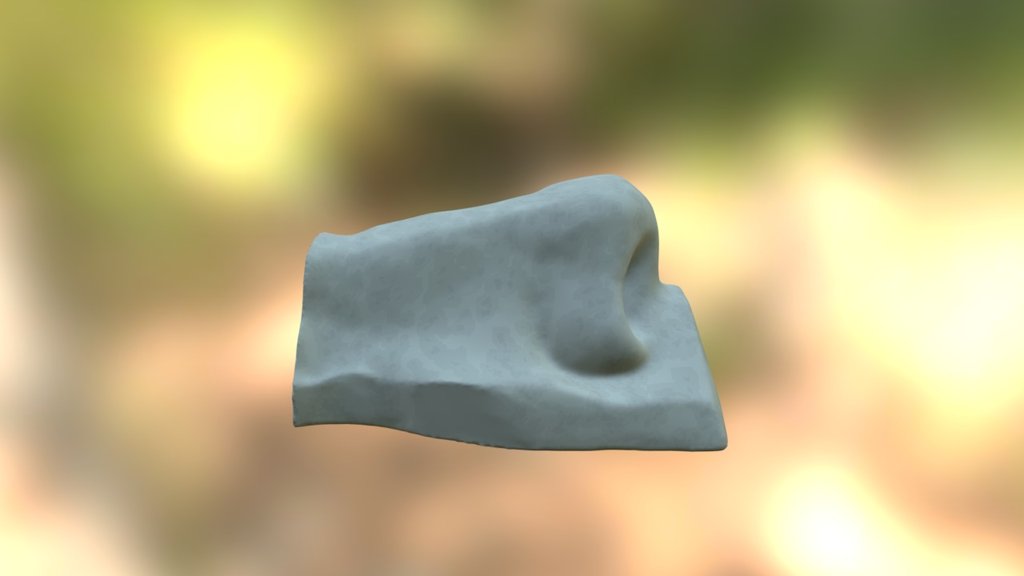 Davids Nose FINAL3 - 3D model by kyong1989 [06124d7] - Sketchfab