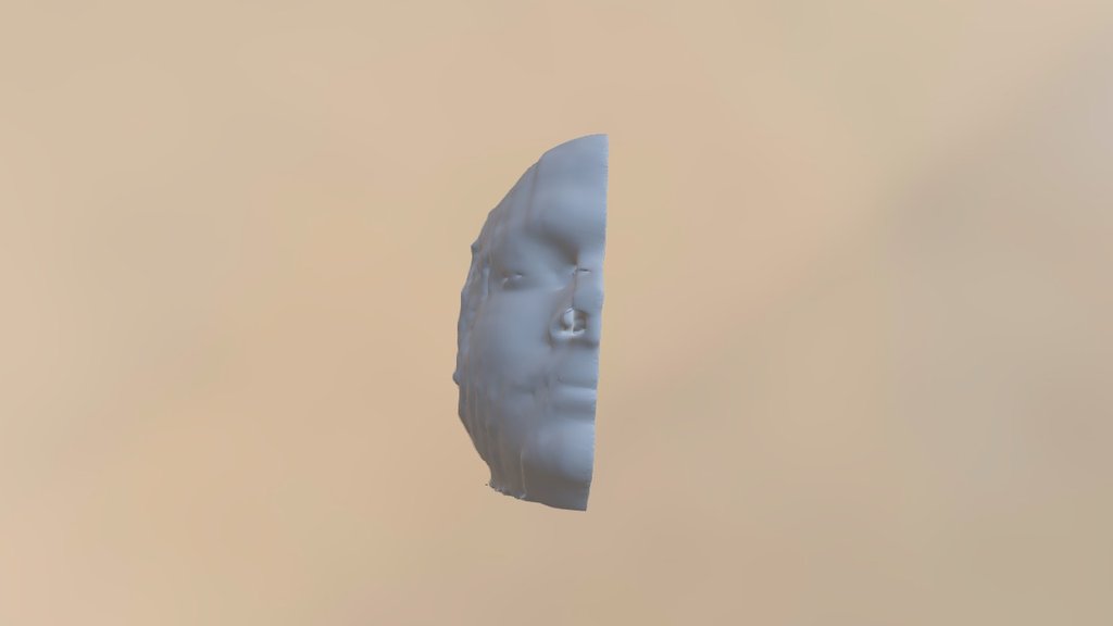 Skull Half - 3D model by nickdawson [0614552] - Sketchfab