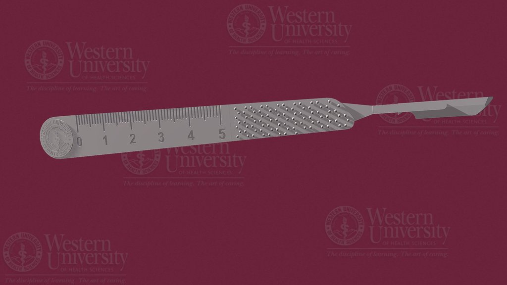 Surgery Instruments and Tools - A 3D model collection by WesternU3D ...