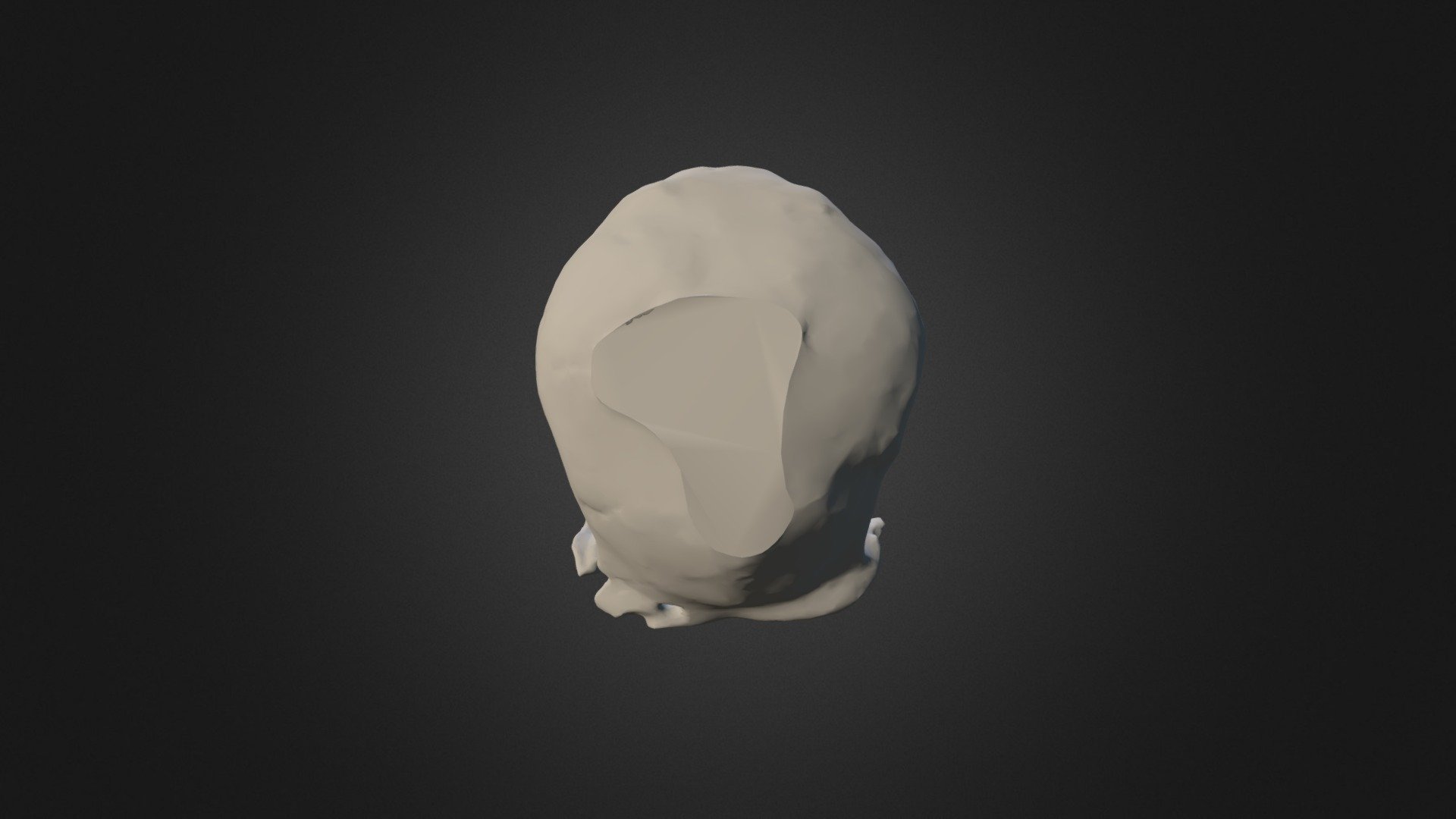 Homo heidelbergensis - Miguelon - Atapuerca - Download Free 3D model by ...