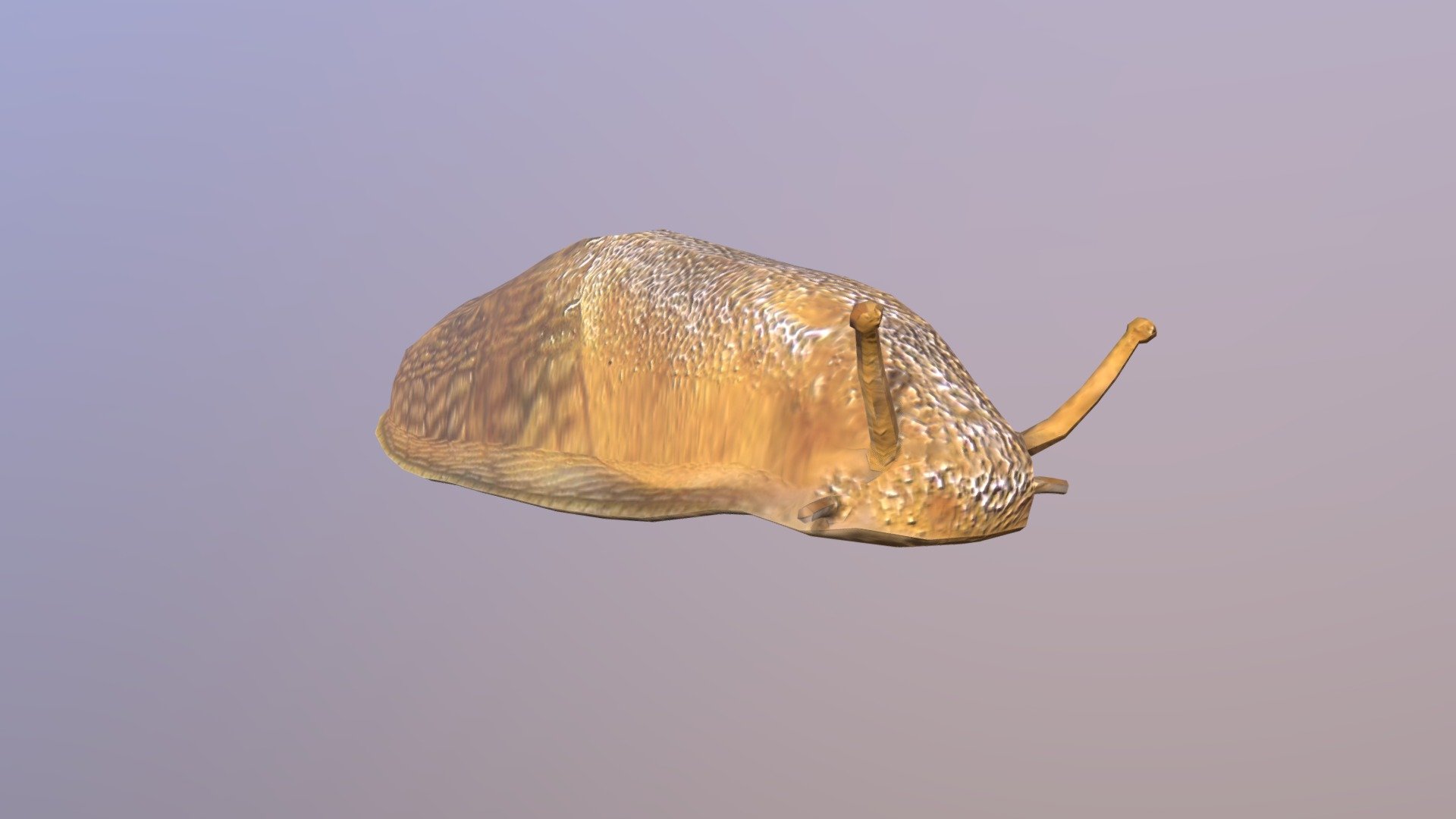 Slug - Buy Royalty Free 3D model by 3dlowpoly [062d3aa] - Sketchfab Store