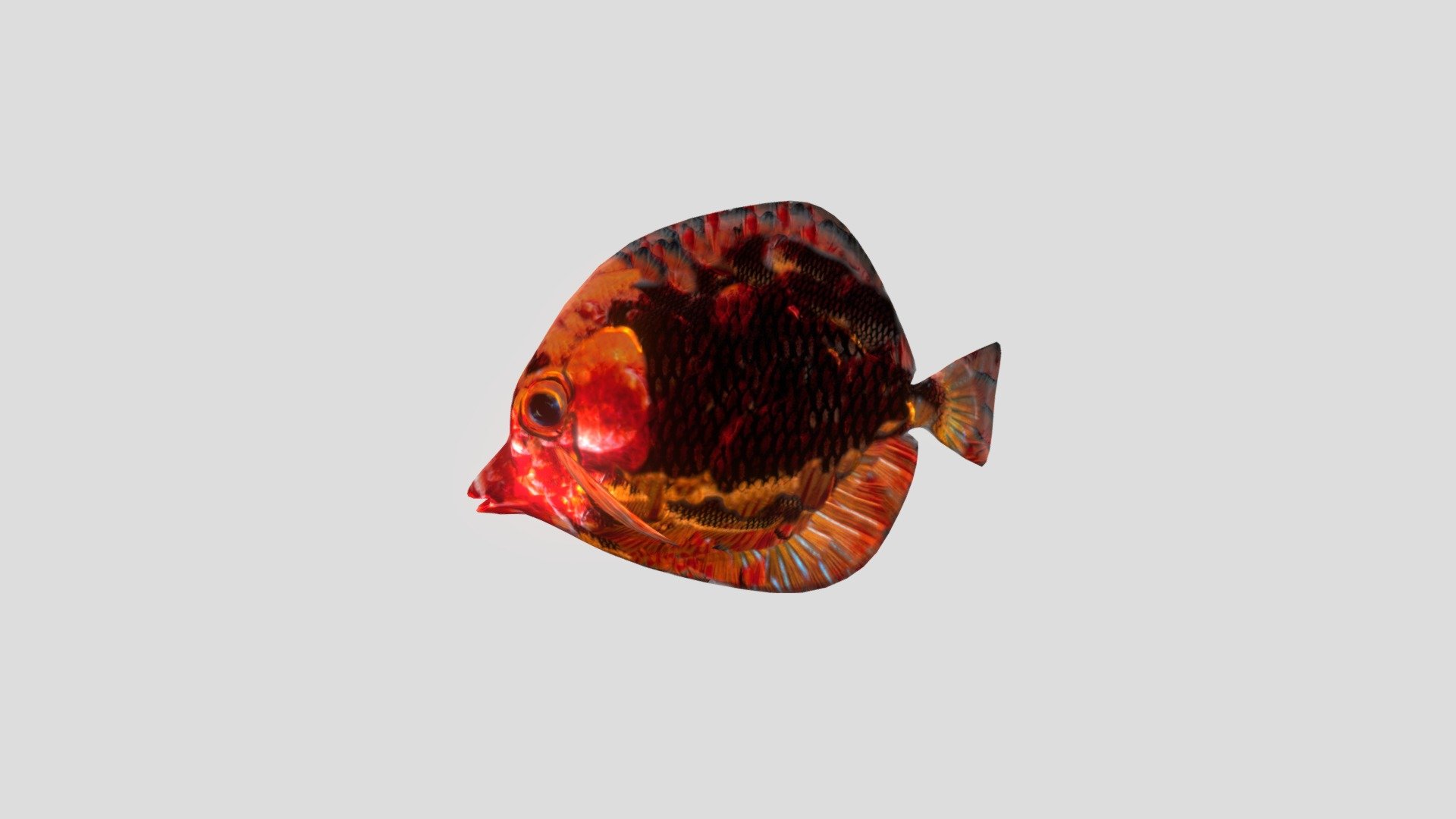 Fish - 3D model by Ade_Ojo [062f342] - Sketchfab