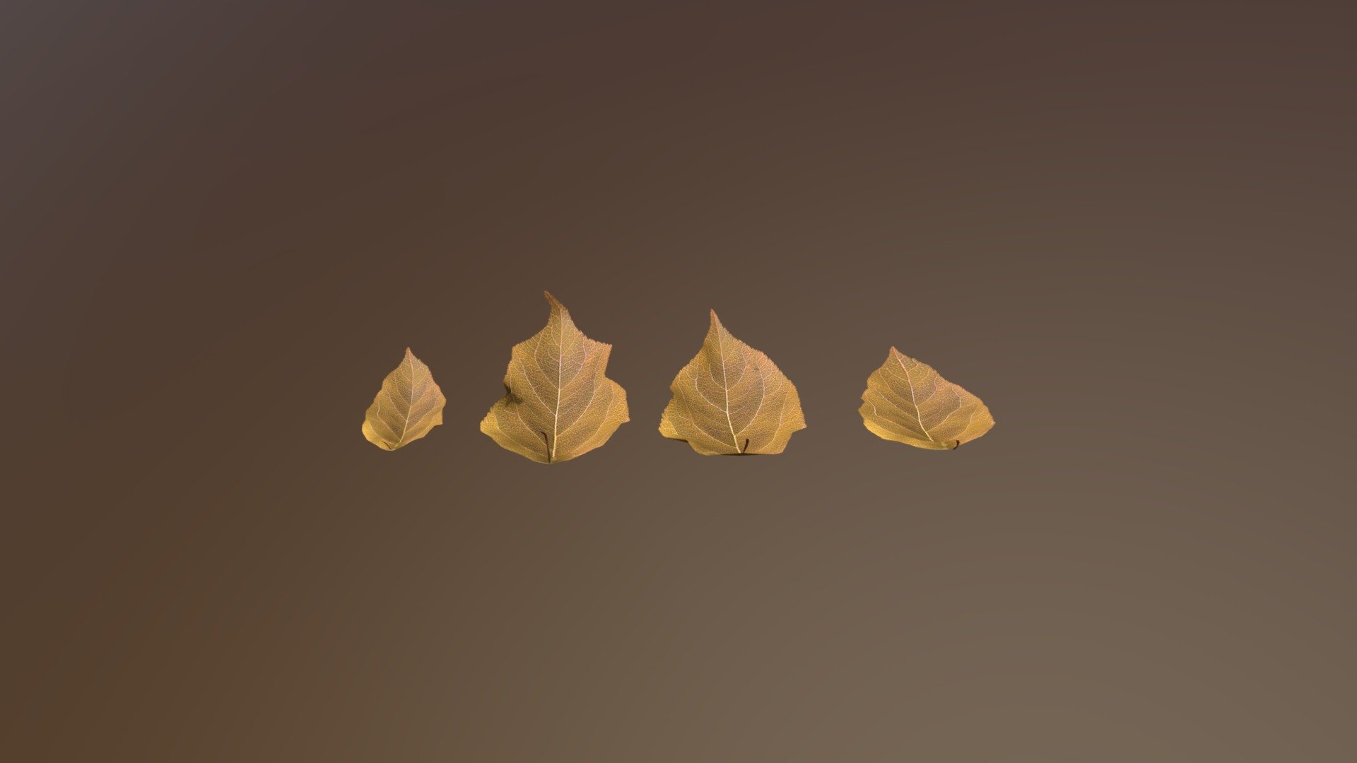 Dry Leaves Pack - Buy Royalty Free 3D model by kambur [06306fd] - Sketchfab Store