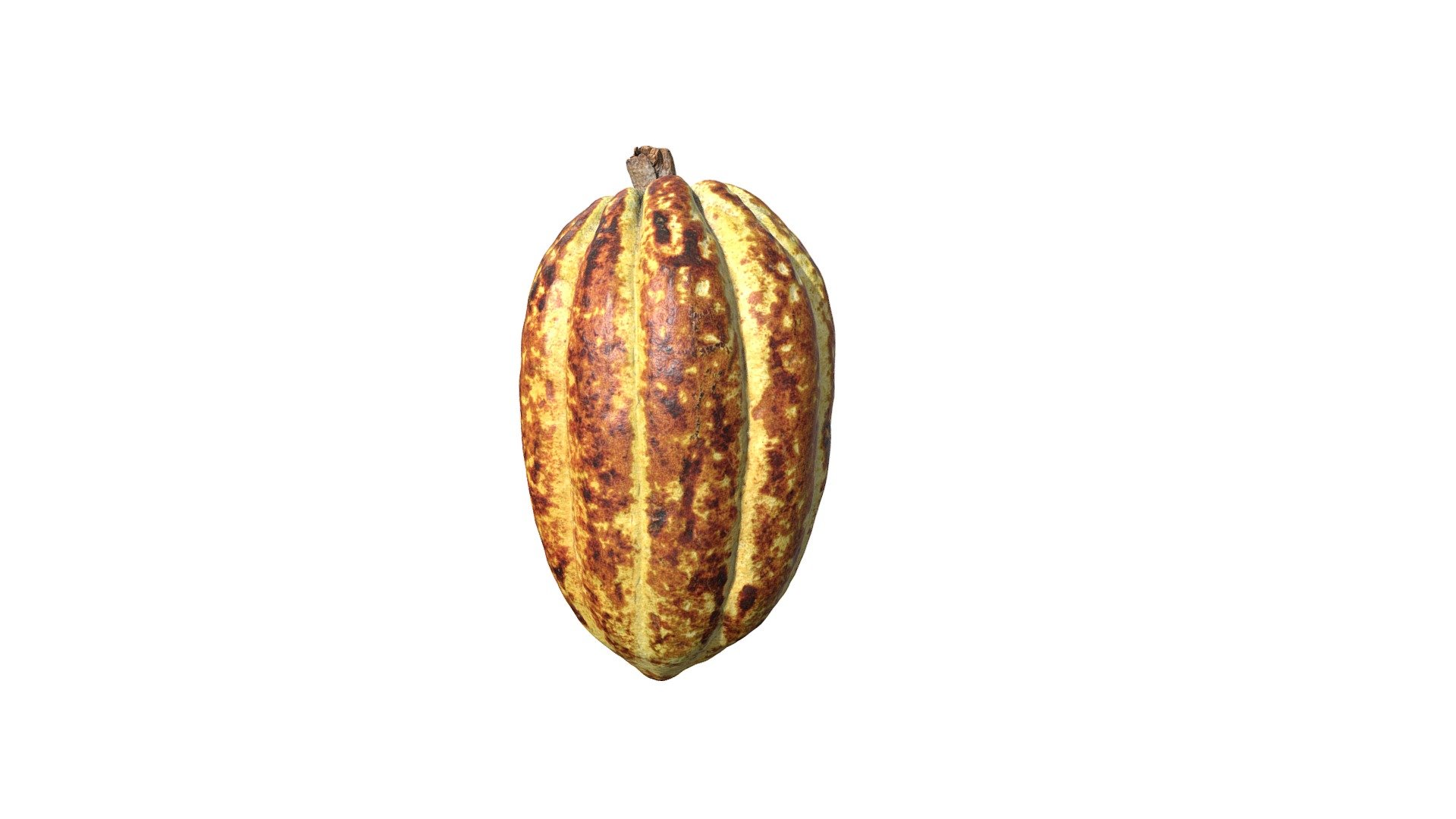 Cocoa Pod 3D Model 01 - veedpo - 3D model by veedpo [063351c] - Sketchfab