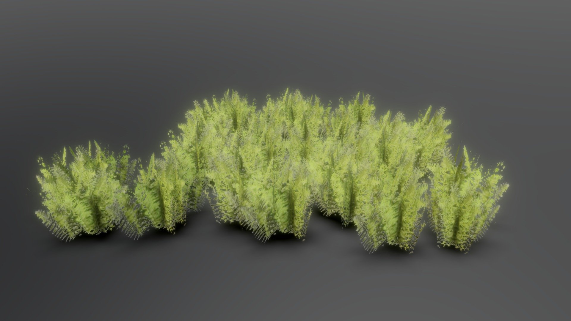 Small Shrub - Download Free 3D model by Somersby [063592d] - Sketchfab