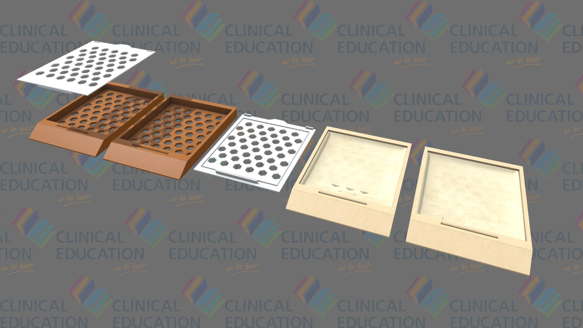 Tissue cassettes - 3D model by UHL Clinical Education [06367b8] - Sketchfab