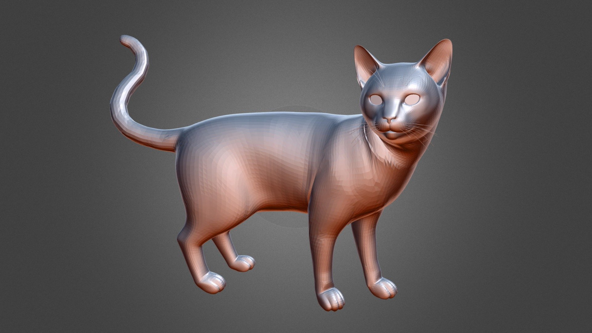 CAT - 3D model by Anurag.Shinde [0647ec1] - Sketchfab