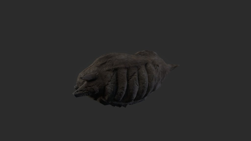 Rock Bug - 3D model by jimmys.h62 [064ebb0] - Sketchfab