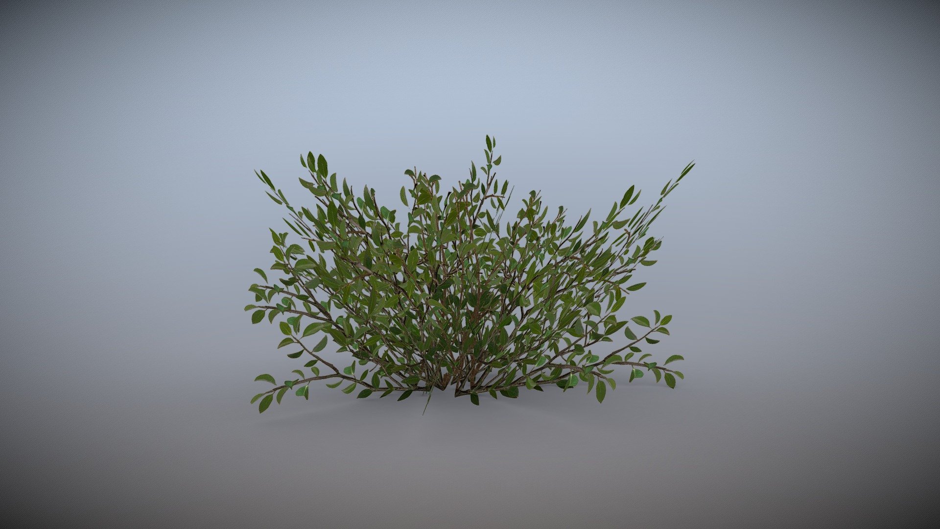 Game ready bush - Buy Royalty Free 3D model by H U N T E R 7 (@hunter7 ...