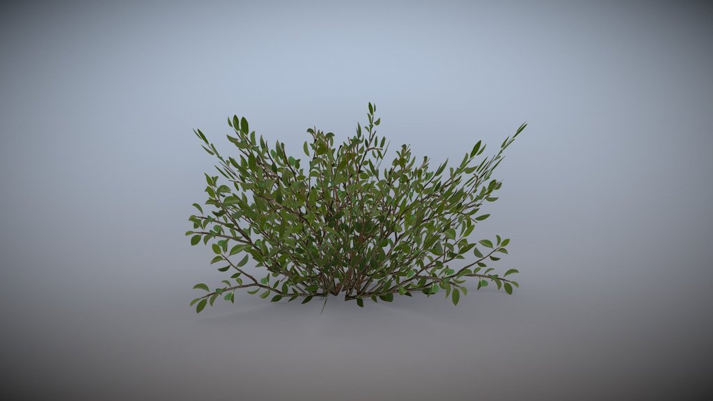 Bushes and grass - A 3D model collection by anteros969 - Sketchfab