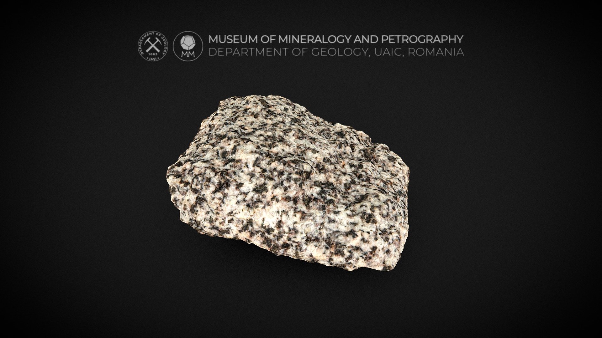 Granite with amphiboles (igneous rock) - 3D model by Museum of ...