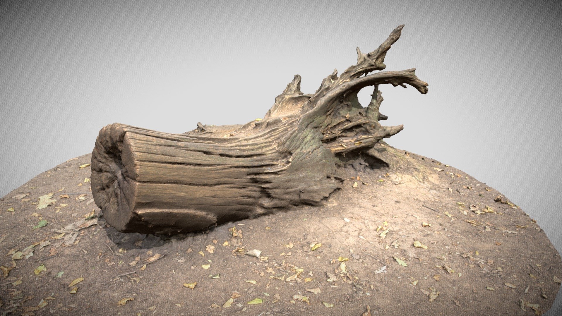 Tree Stump 01 - 3D model by Kieron Helsdon (@ronski) [0657e48] - Sketchfab