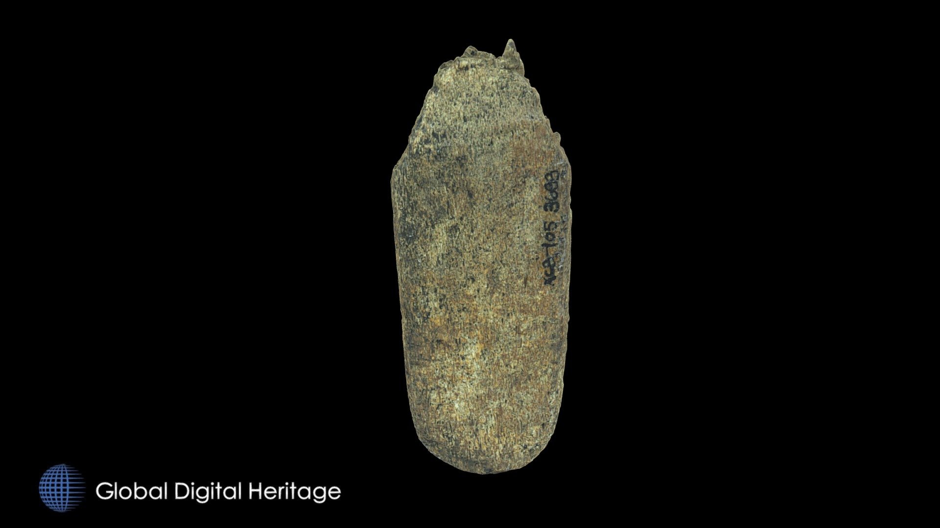 Bone Wedge XCB-105-3688 - Download Free 3D model by Global Digital ...