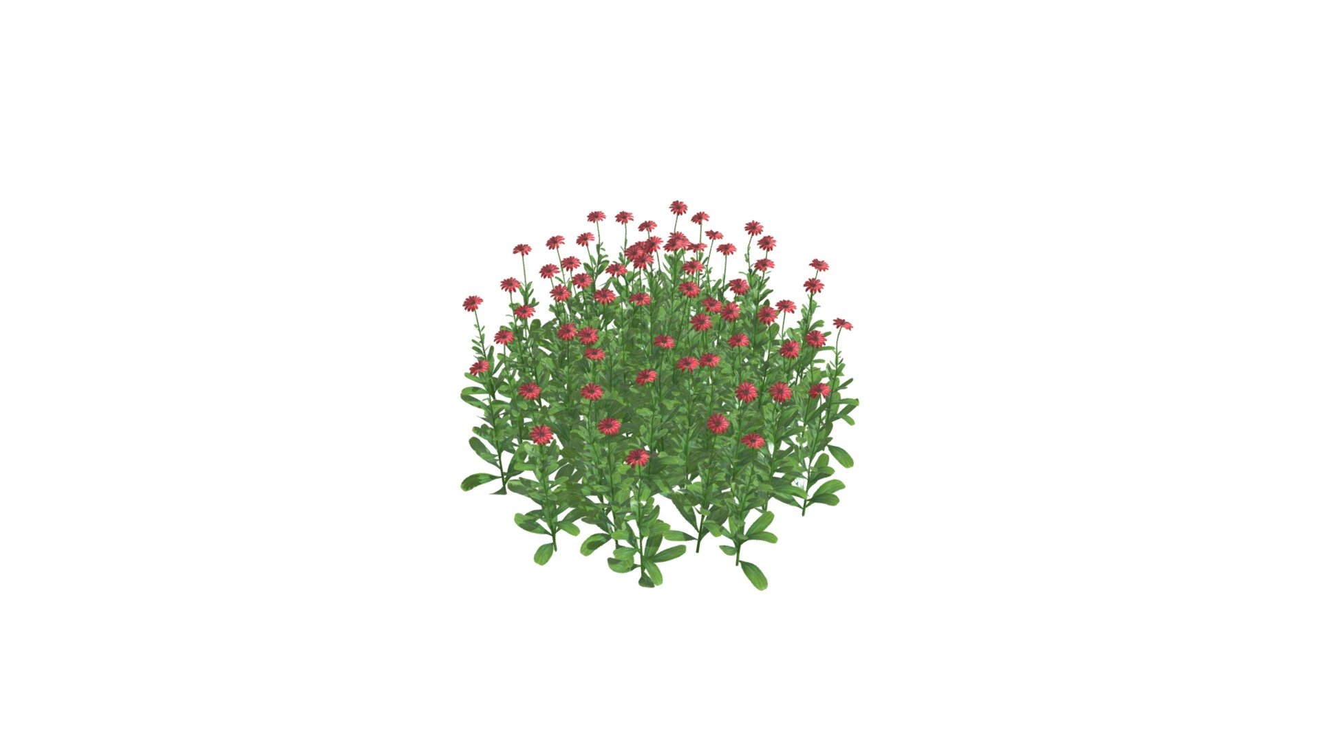 Daisy Red Flower Bush - Buy Royalty Free 3D model by hkhalif [0659458 ...