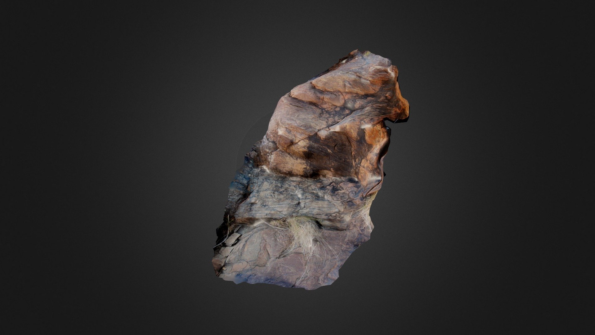 arly - Download Free 3D model by friedrich [0659526] - Sketchfab