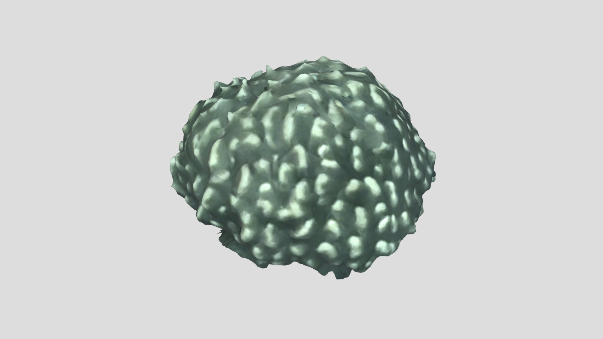 Chocks_1080_120_Spiral - 3D model by crispinn [065c737] - Sketchfab