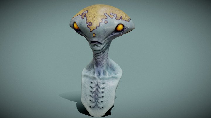 Rafa 3D models - Sketchfab