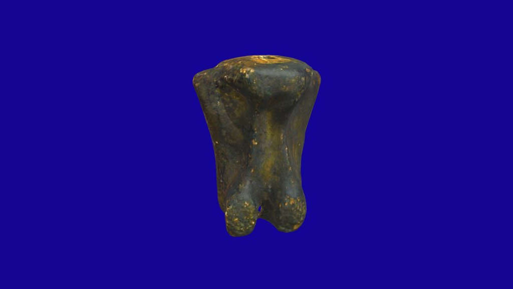 Founding Fossils Exhibit at The Peale - A 3D model collection by Virtual Curation Lab ...