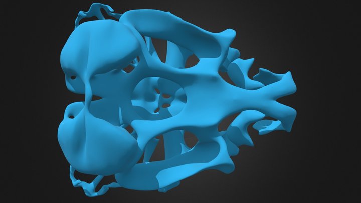 Cartilage 3D models - Sketchfab