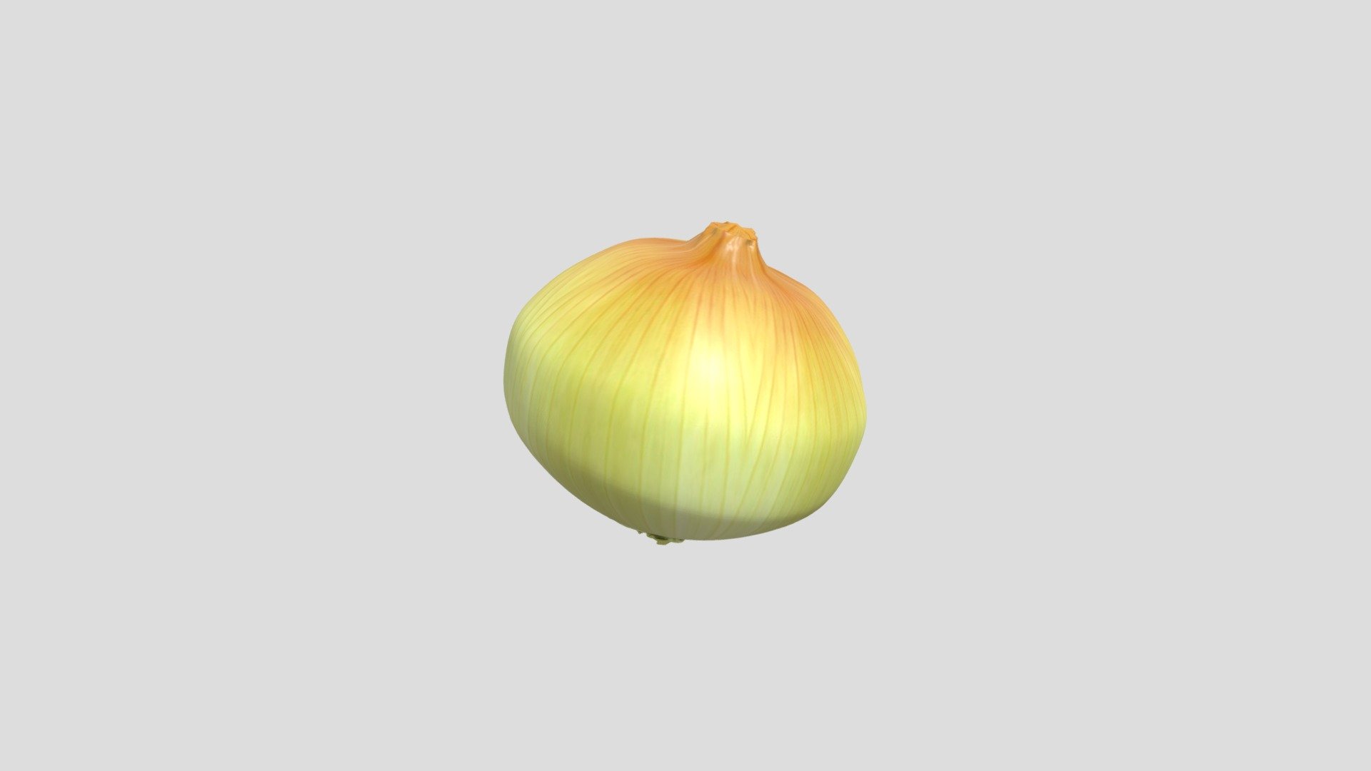 white onion - 3D model by Xpert3d (@3drhino) [0678ab2] - Sketchfab