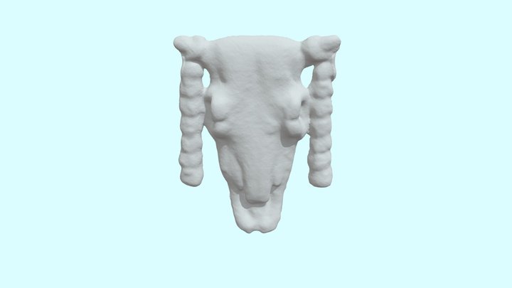 Bucranium 3D models - Sketchfab