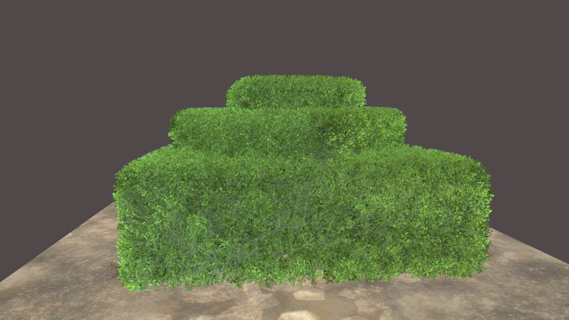 Boxwood-G19 - Buy Royalty Free 3D model by ASMA3D [0683d51] - Sketchfab ...