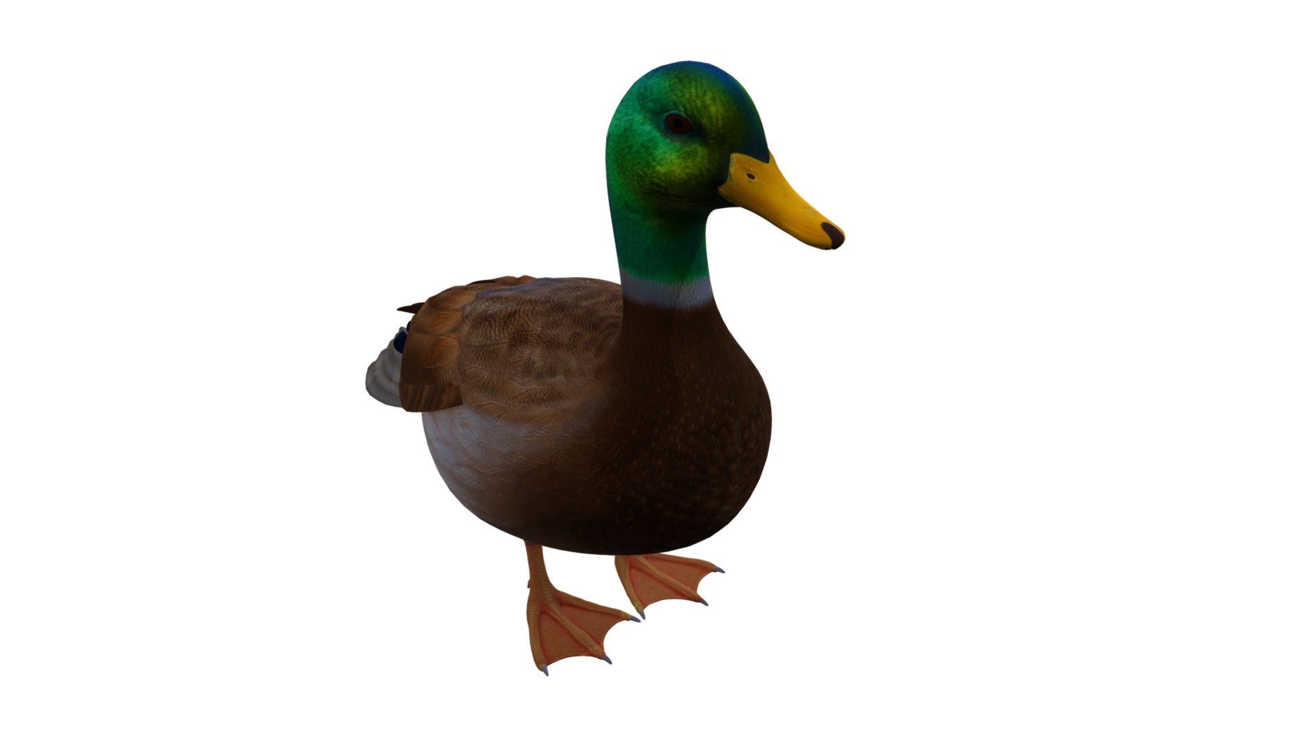 Duck by PIKKART - 3D model by jacopobatto (@jacopobattini) [0689a4c ...
