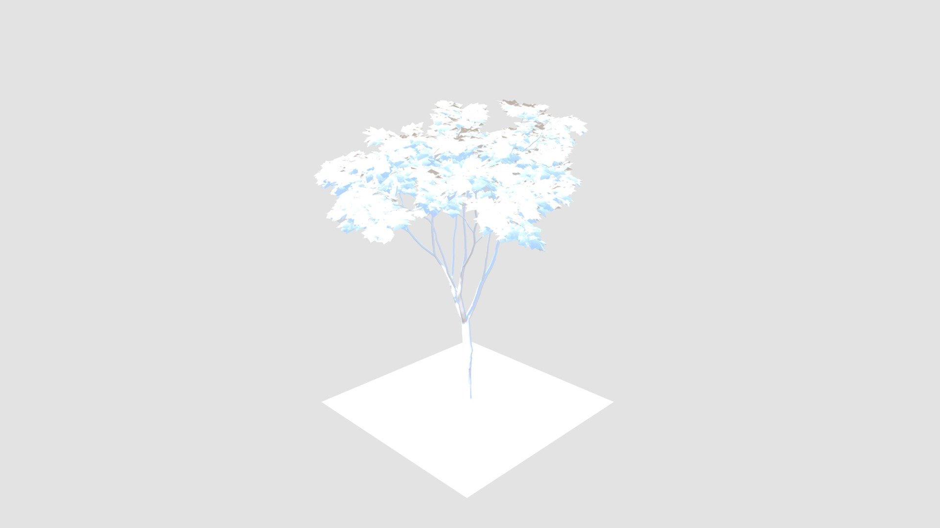 Tree for Blender - Buy Royalty Free 3D model by Evermotion [068e55e ...